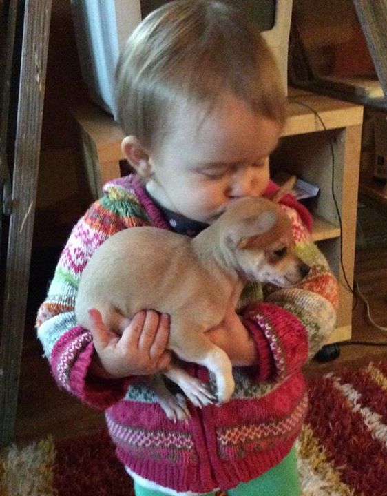 Almost the Truth: Pictures Inappropriate For History Books!