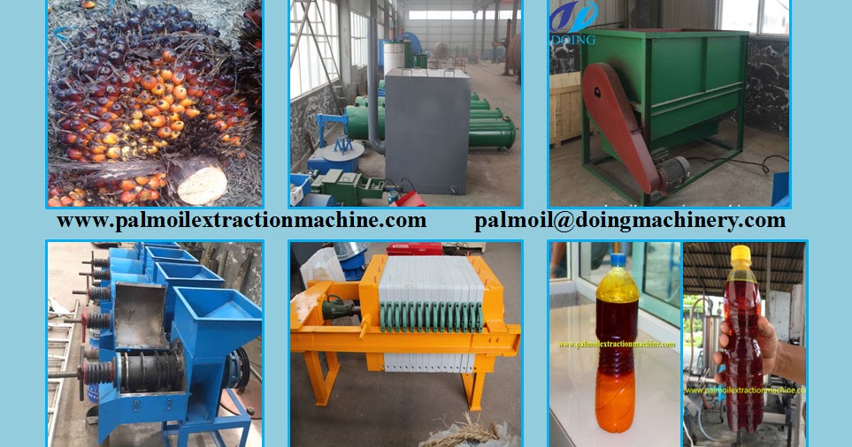 palm oil equipment manufacturing, exports and sales: Hot selling palm ...