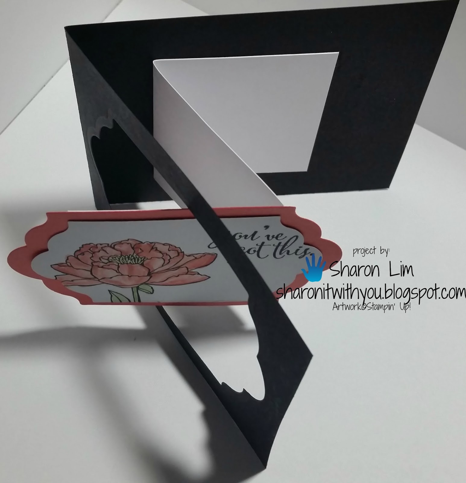 Sharon It With You: Another Z card fold tutorial!