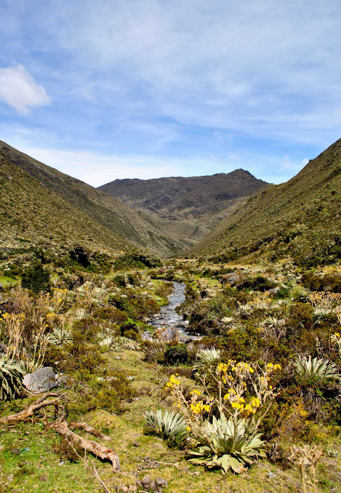 Venezuela mágica: Recorriendo el Paramo, Merida 2010