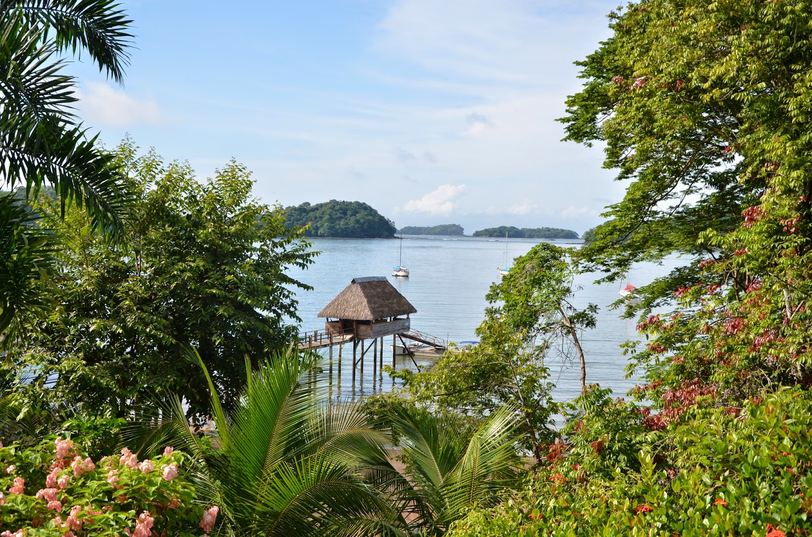 Bonjour Brigitte!: Panama Day ???: Boca Chica & Isla Parida