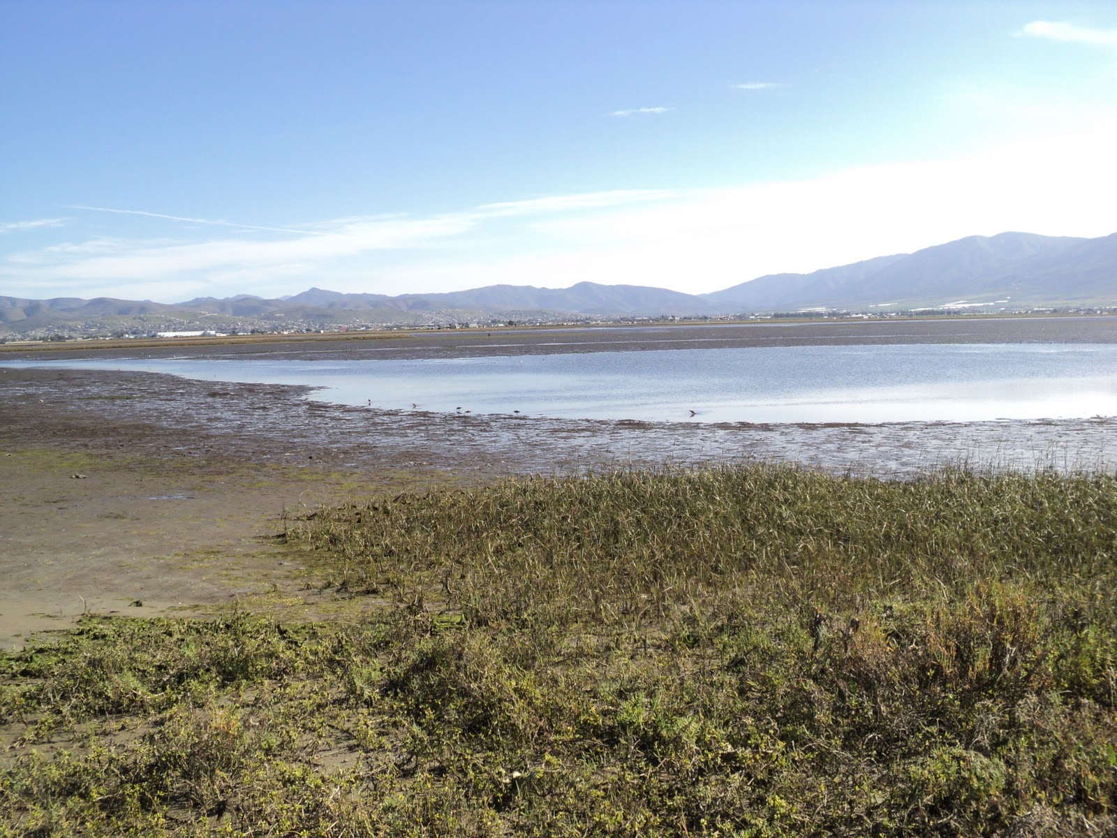 TURISTEANDO POR LA BAJA CALIFORNIA : Reserva ecológica del Estero de ...