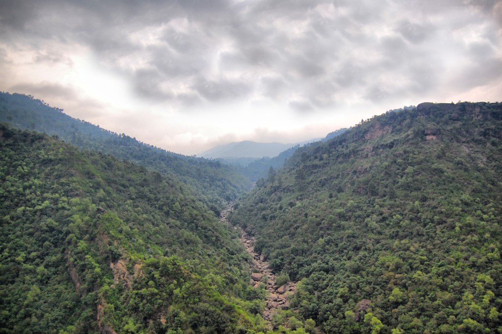 beauty of kashmir: ABOUT TOli peer and BANJOSA