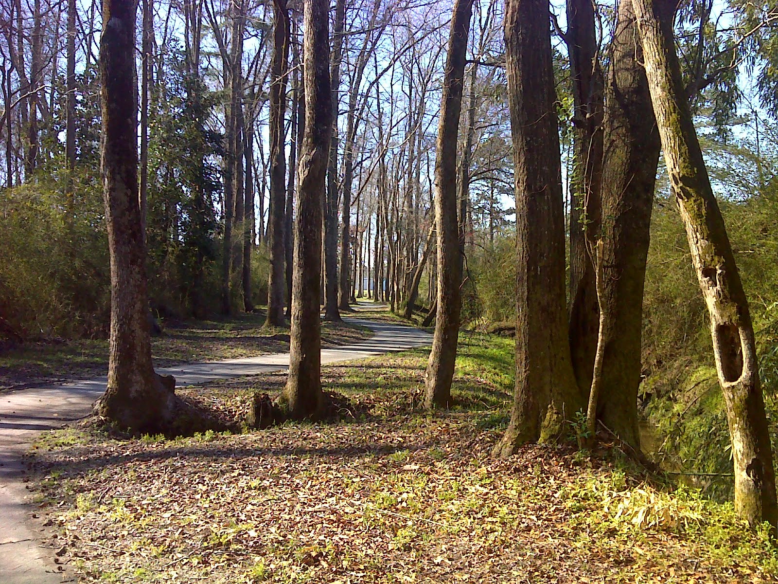 Heart and Sole: Hiking Burgaw's Osgood Canal Greenway