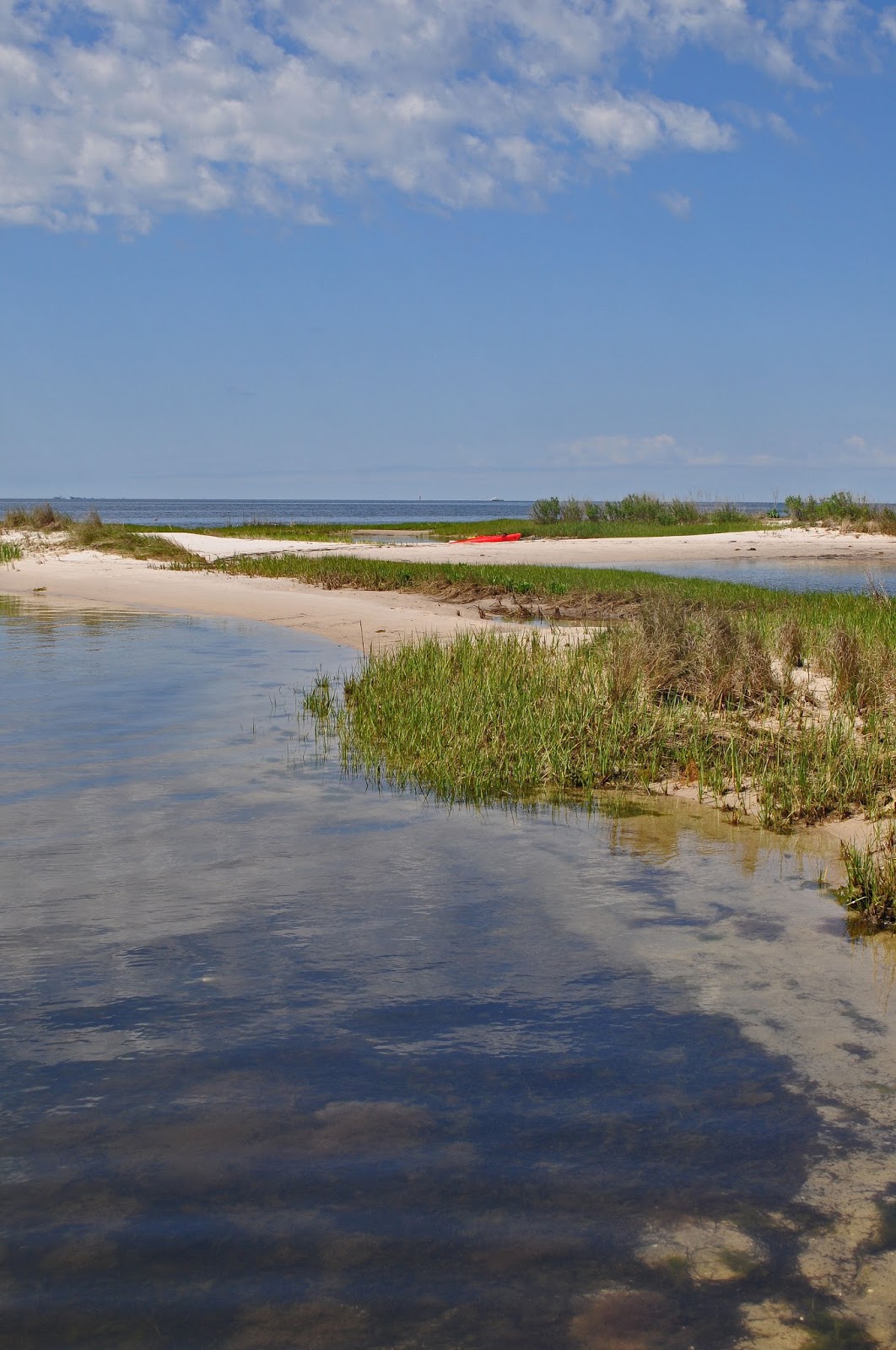 A Tidewater Paddler: Guard Shore to Old Tree Island and Saxis WMA - 5/14/16