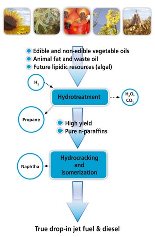 Total selects Axens technology for its biorefinery in La Mède