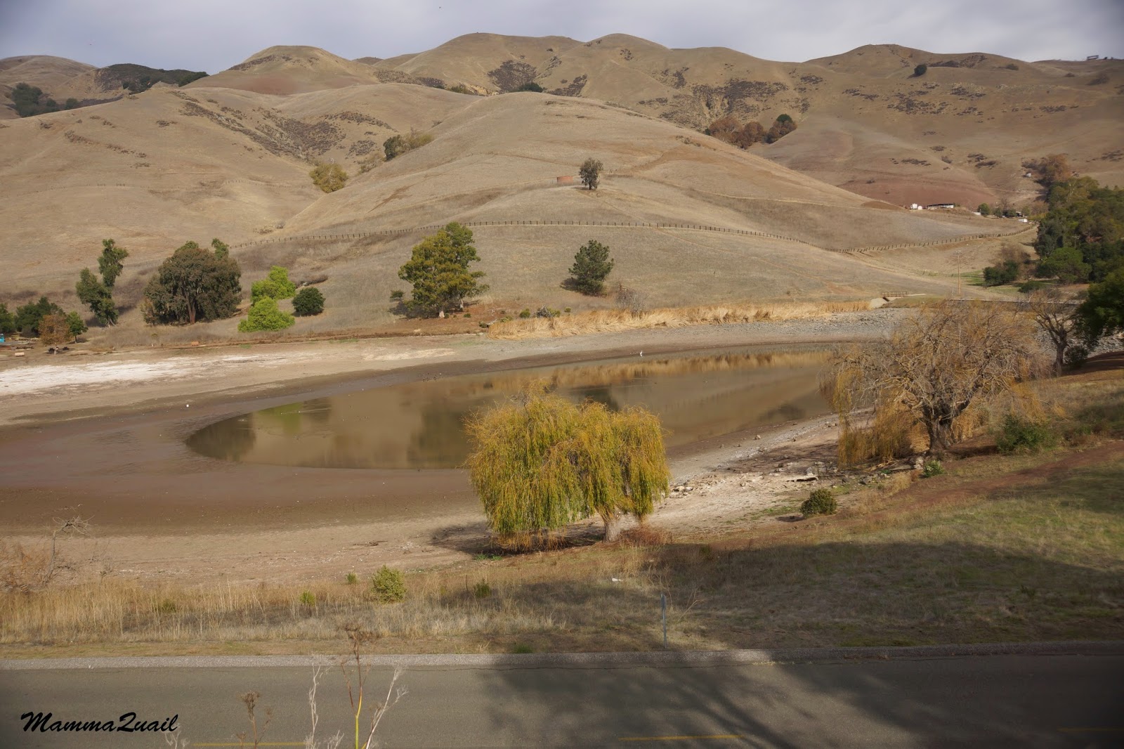 Mamma Quail Hiking California : Perfect for a Quick Getaway: Ed Levin ...