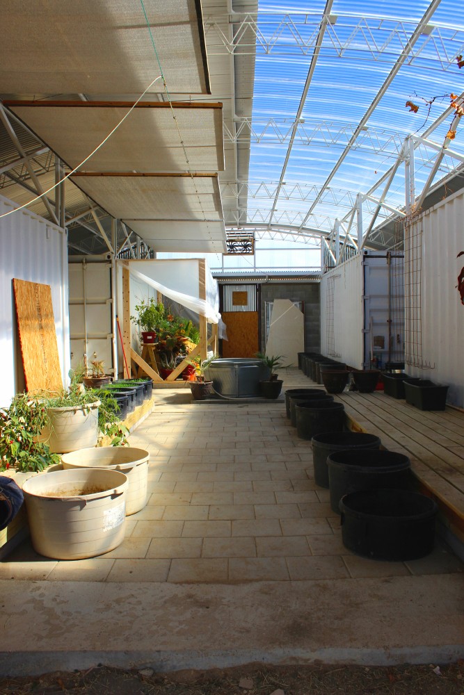 The Field Lab: a field lab friday...