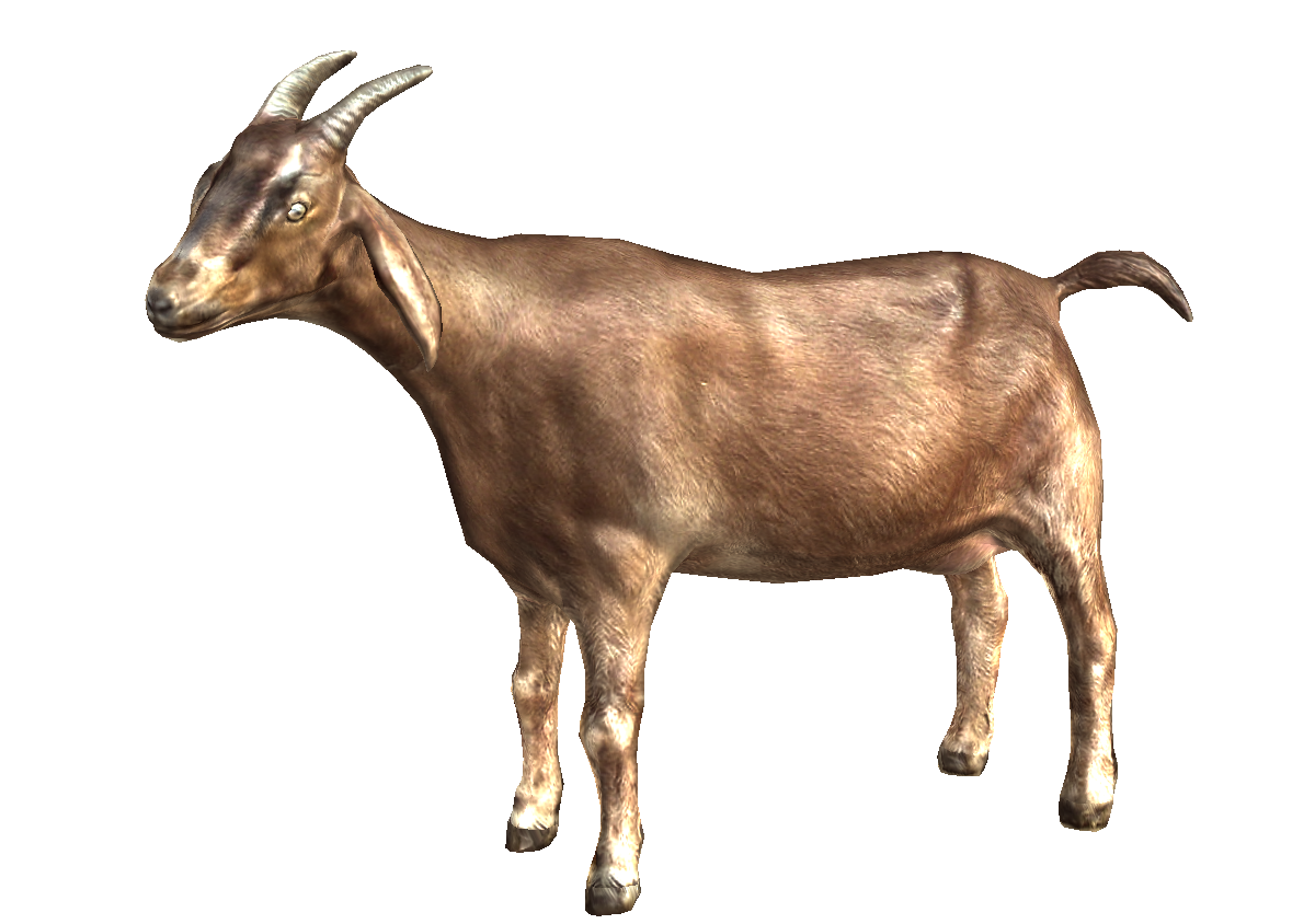 Goat Biography and Details of all Goats