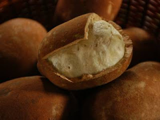 Benefícios do Açaí para a Saúde: Novidades sobre o Cupuaçu