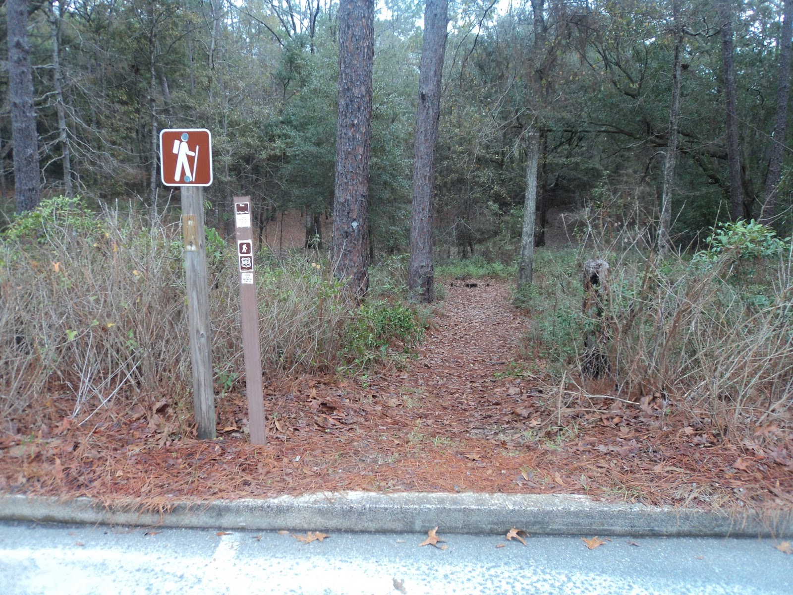Parking Full Time Hiking Trail Journal: Conecuh National Forest ...