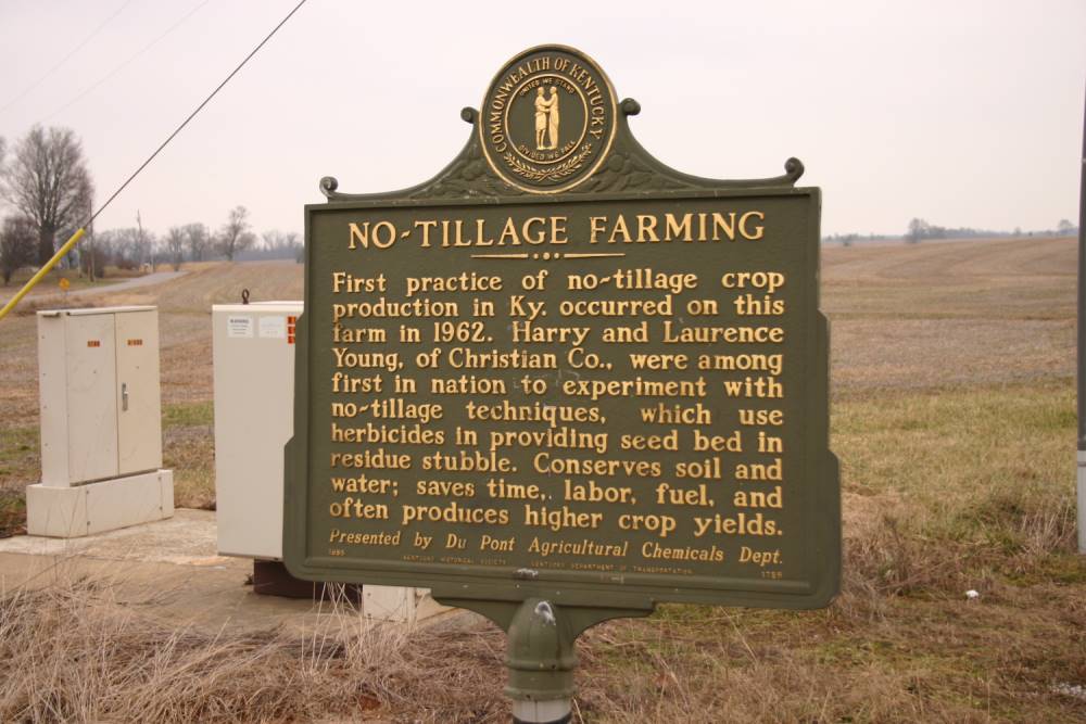 HyMark High Spots: Mr. Earthworm