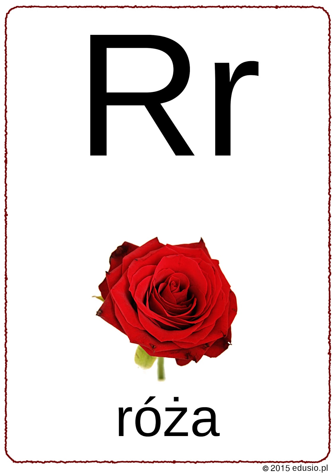 edusio - druczki do nauczki: Litera R