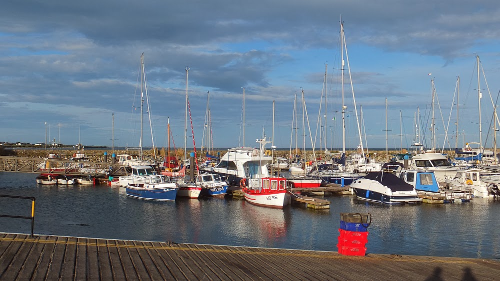Irish Wildscapes: Kilmore Quay, Wexford