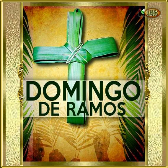 ® Blog Católico Gotitas Espirituales ®: IMÁGENES DE DOMINGO DE RAMOS