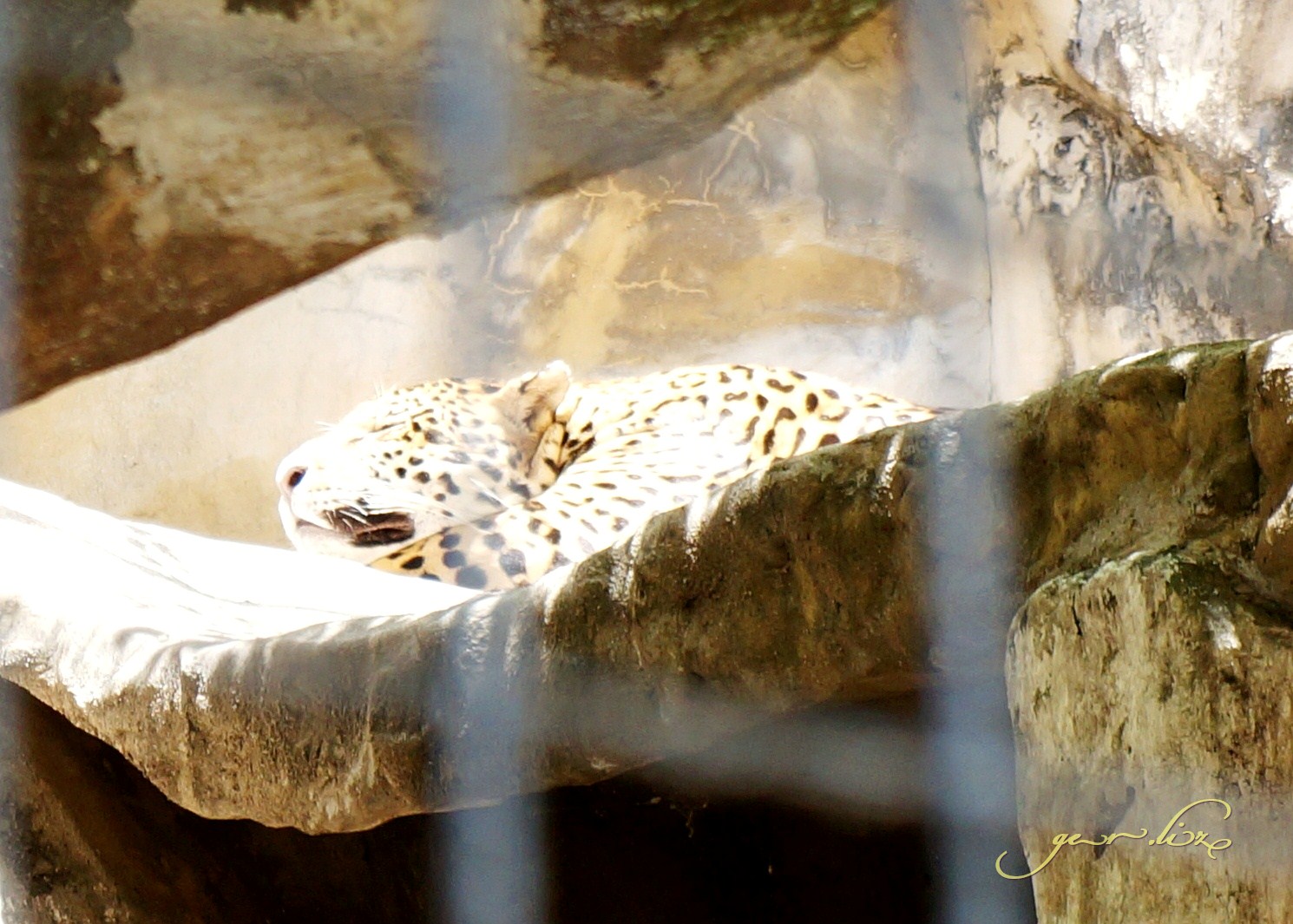 Avilon Zoo: Day tour with my nephews | Trips... by Liz