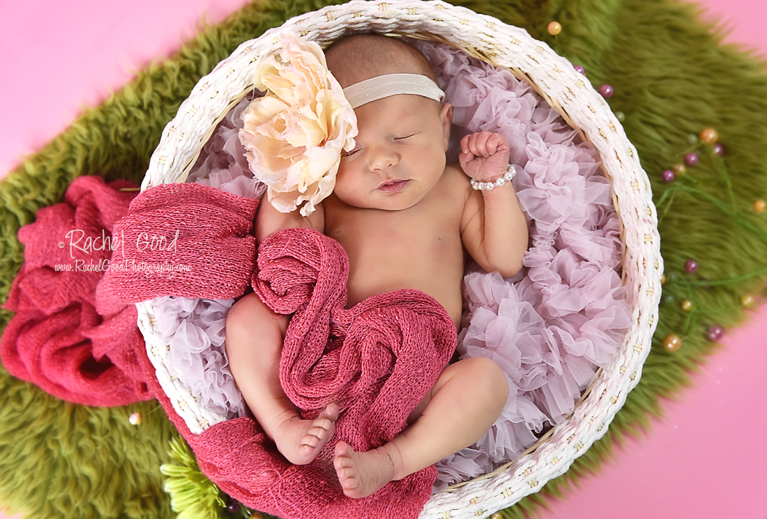 rachel good photography: Olivia | instudio newborn photography ...