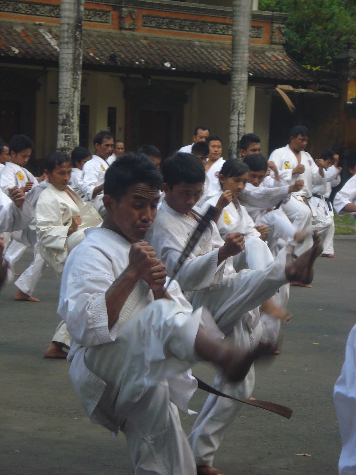 INKANAS SUMBAWA Collection ~ Tizar Inkanas