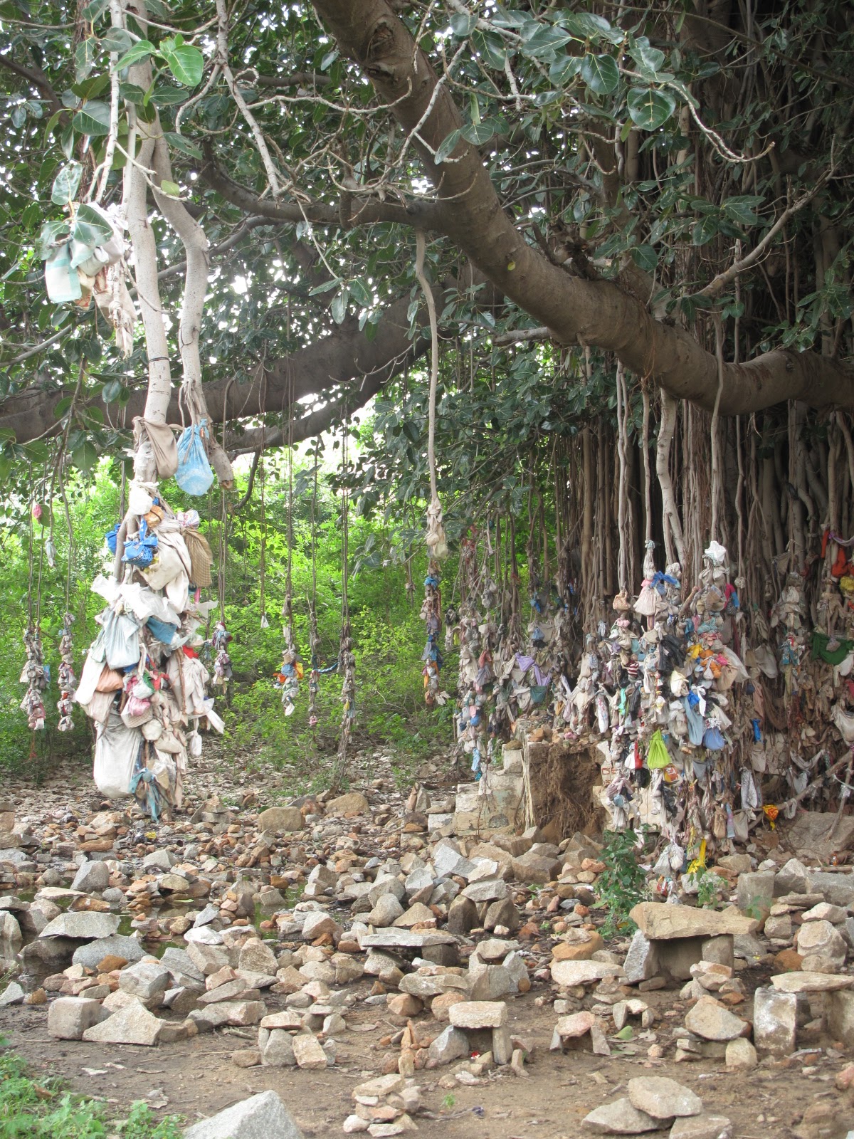 Loose of Limits: Do You Think Babies Grow on Trees, Like Money?