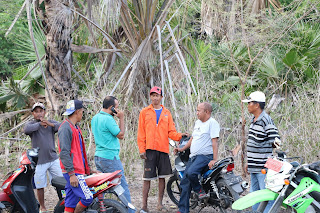 PETA PENUTUPAN LAHAN KABUPATEN ROTE NDAO TAHUN 2015-2016