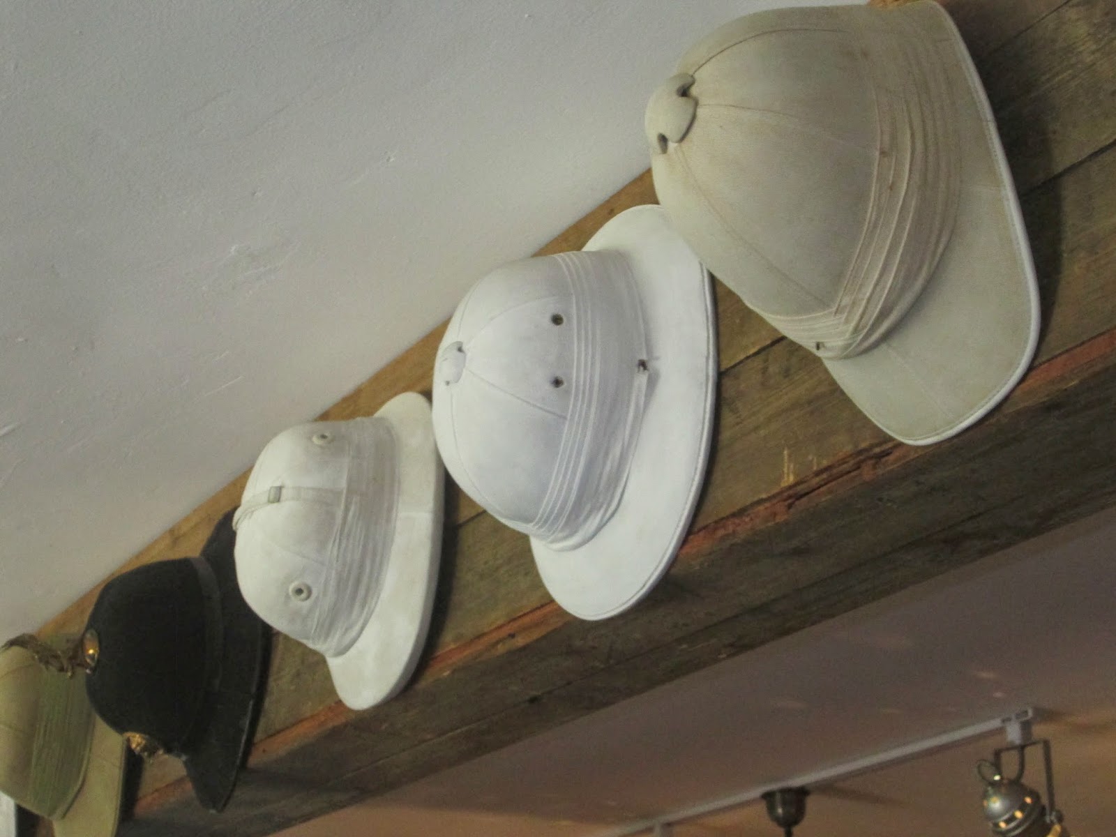 The Great Wildebeest Migration: Sola topi