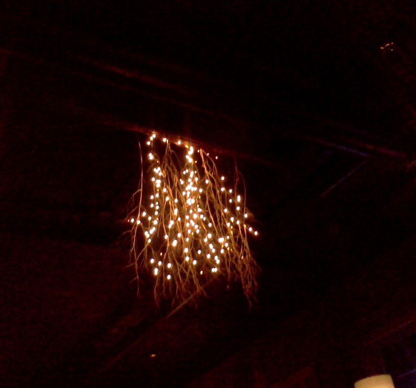 Tree Branch With Lights - Home Ideas Designs