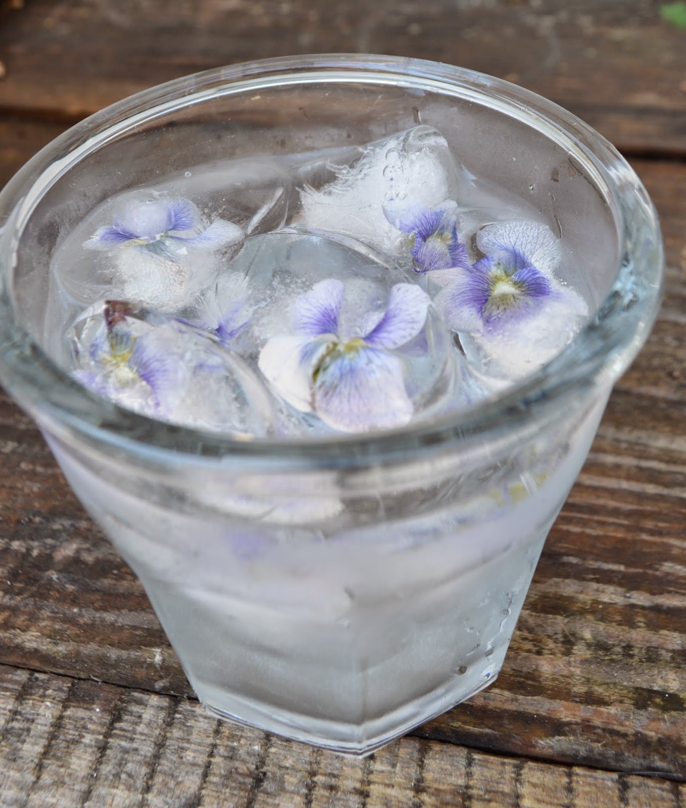 The Wright Family Farm: Wild Edibles // Violet Ice Cubes