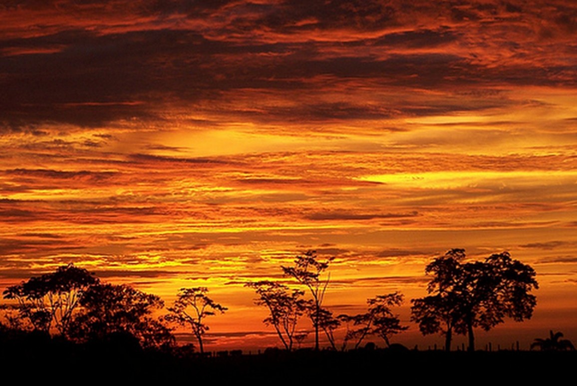 Pintura Moderna y Fotografía Artística : Top 10 Atardeceres