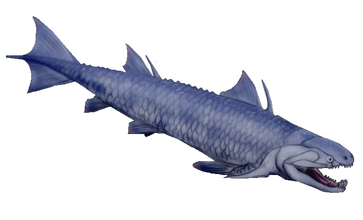 Outras Verdades Inconvenientes: De onde você (REALMENTE) veio?