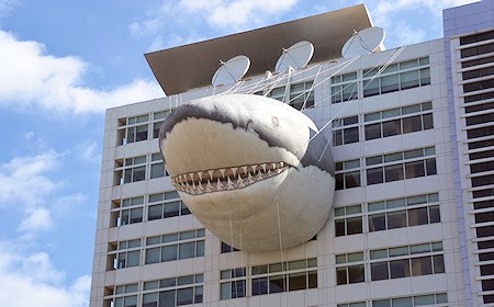 The Presurfer: 9 Silly Sharks To Prepare You For Shark Week 2014