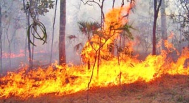 SAVANNAH NEWS: WMDA, GNFS Train Volunteers To Combat Bushfires