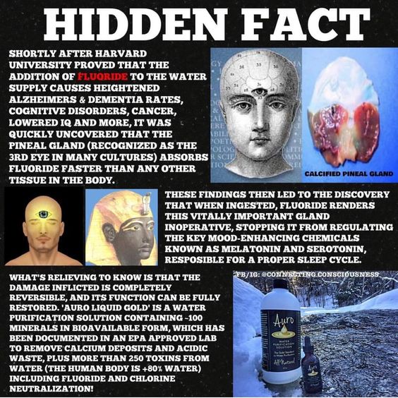 60 Amazing Weird And Interesting Random Facts | Amazing WTF Facts