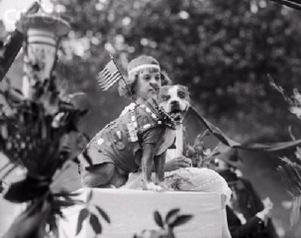 GIMME SHELTER: A Rescue Dog's Story: SGT. STUBBY - PIT BULL WAR HERO