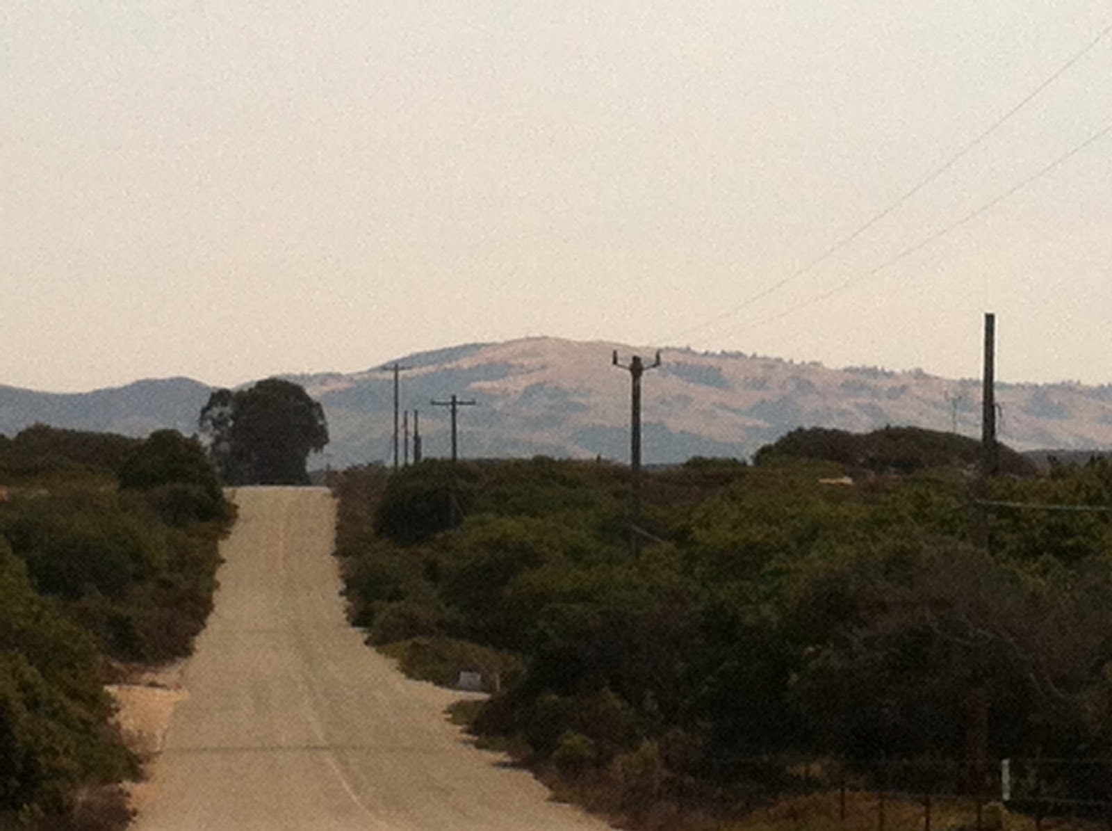 Joy of Hiking: Toro Park Trails