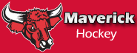 House of Georges: NCAA Men's Hockey Championship: Friday's First-Round ...