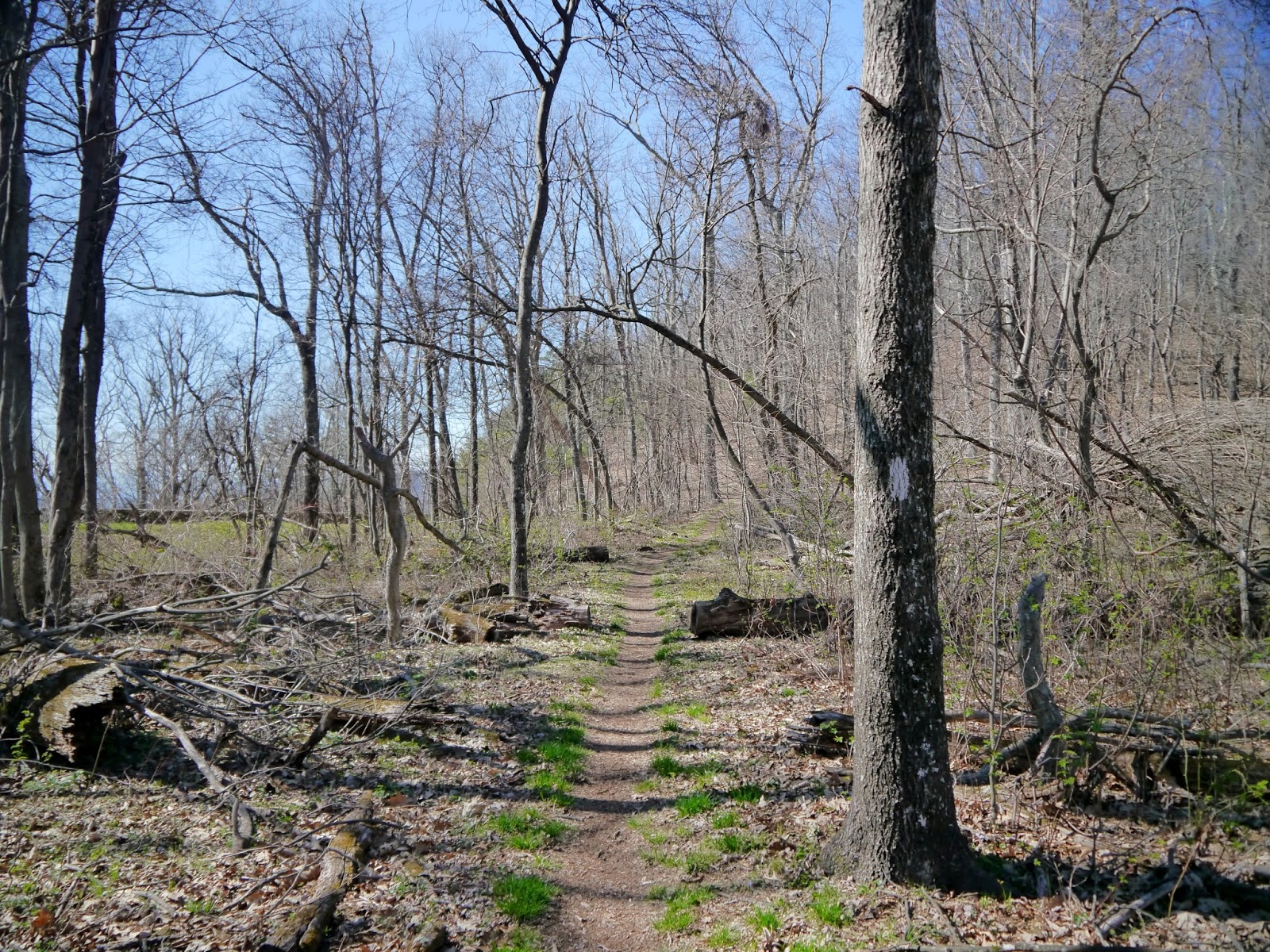 American Travel Journal: Riprap Trailhead to Blackrock Gap ...