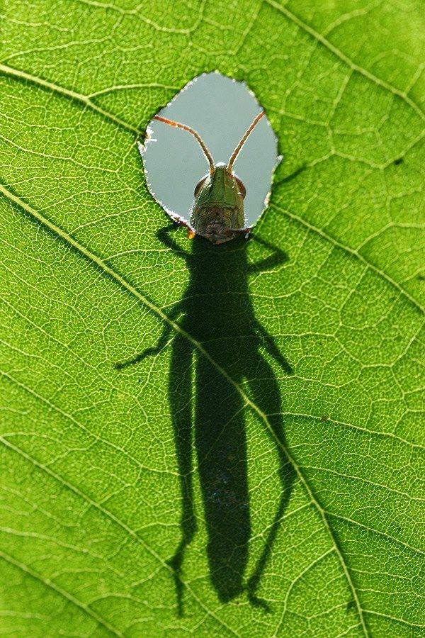Maištinga siela: Vasaros pradžios gaiva - nusiplauk pagaliau langus!