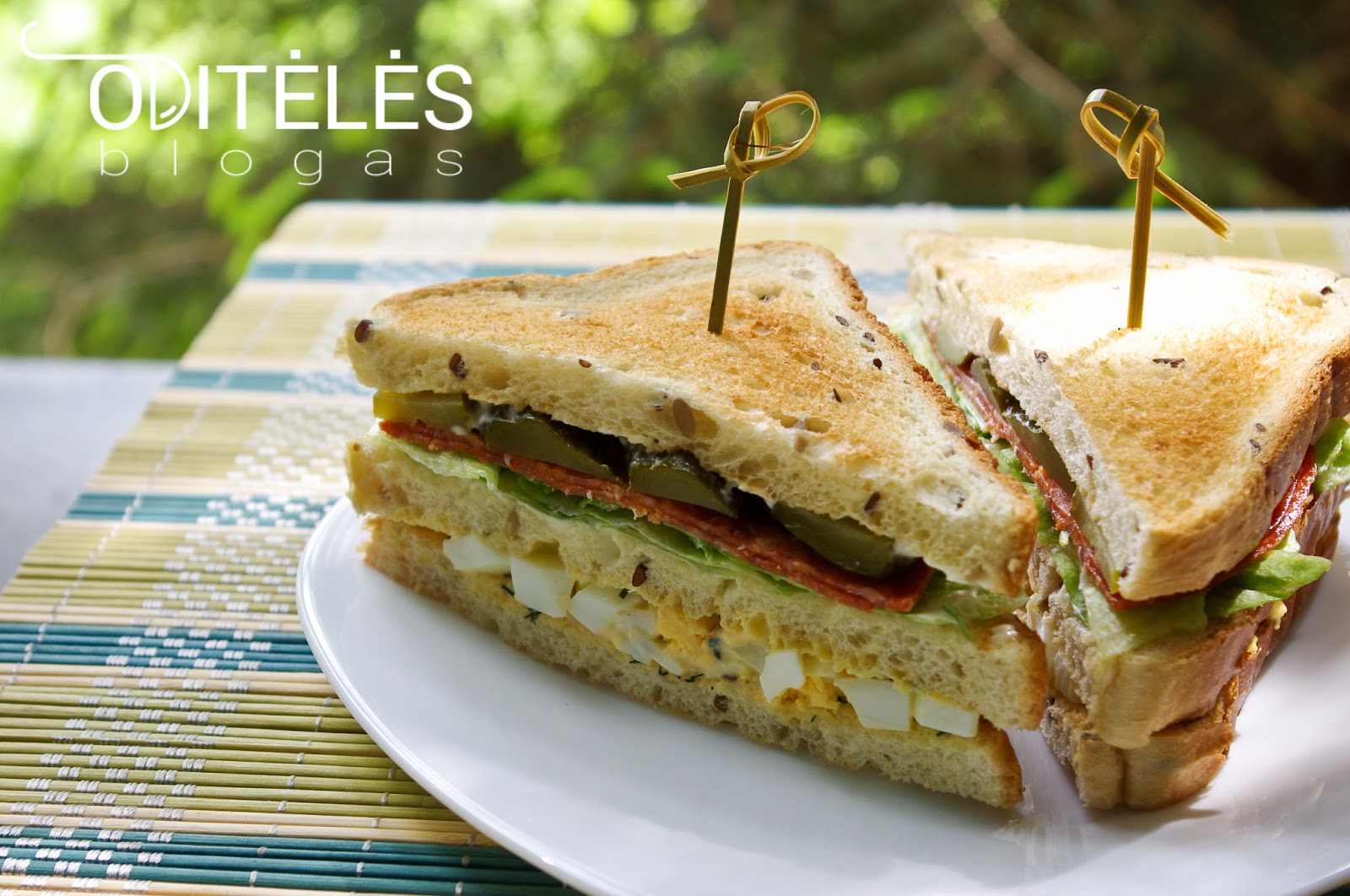 Oditėlės blogas: DVIGUBAS SUMUŠTINIS