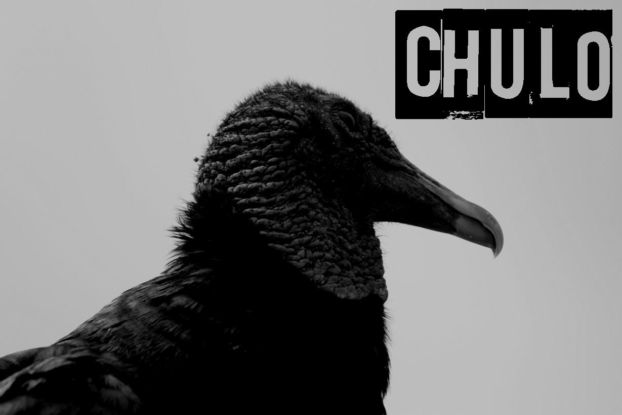 Blog del Maestro del Lenguaje: junio 2017