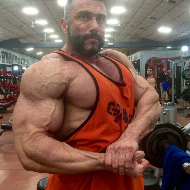 Muscle Lover: Alessandro Grassi