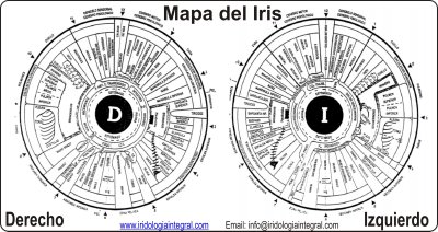 Naturopatía: iridología