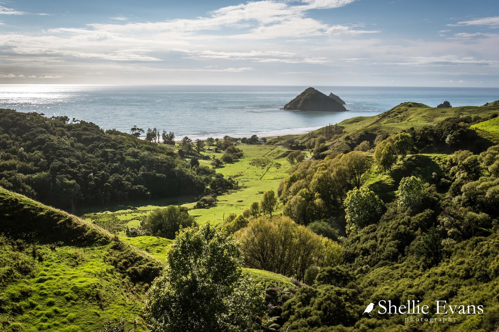 Two Go Tiki Touring: Beach Hop North- Kaiaua & Anaura Bays