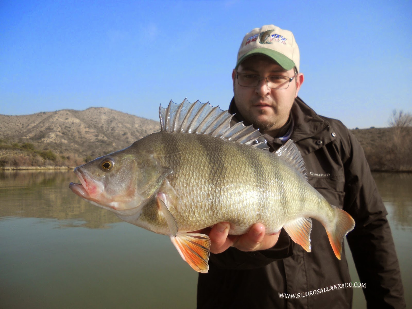 PESCA CON GUÍA DEL SILURO AL LANZADO Y PELLETS EN MEQUINENZA Y RÍO EBRO ...