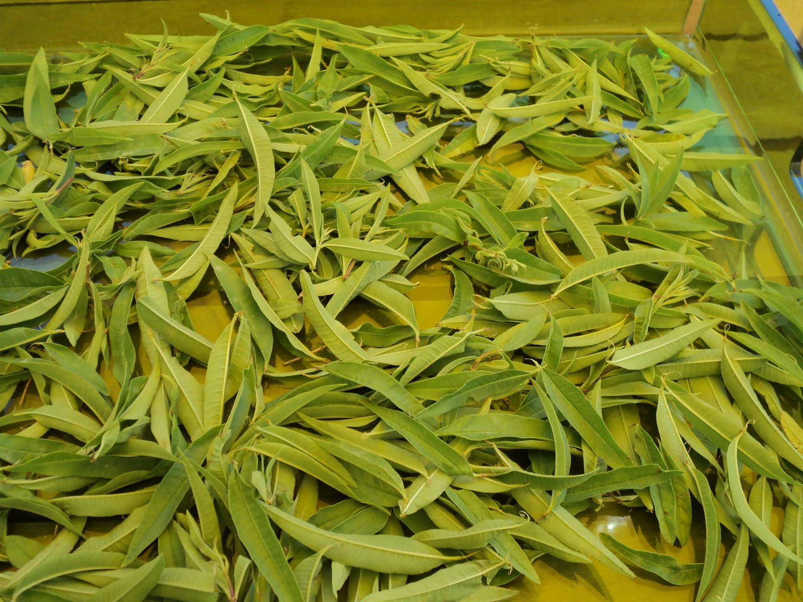 {entreter os dias}: {limonete