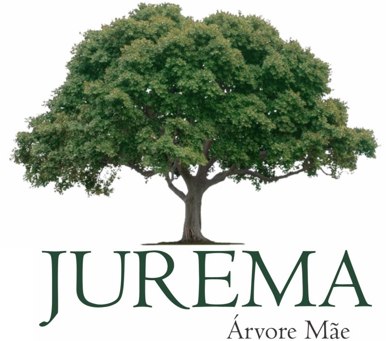 Centro de Iluminação Nosso Lar: Trabalho de Catimbó da Jurema