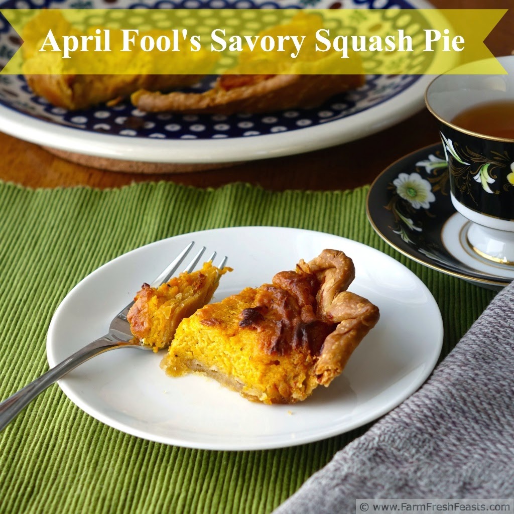 Farm Fresh Feasts: Savory Squash Pie for April Fool's Day