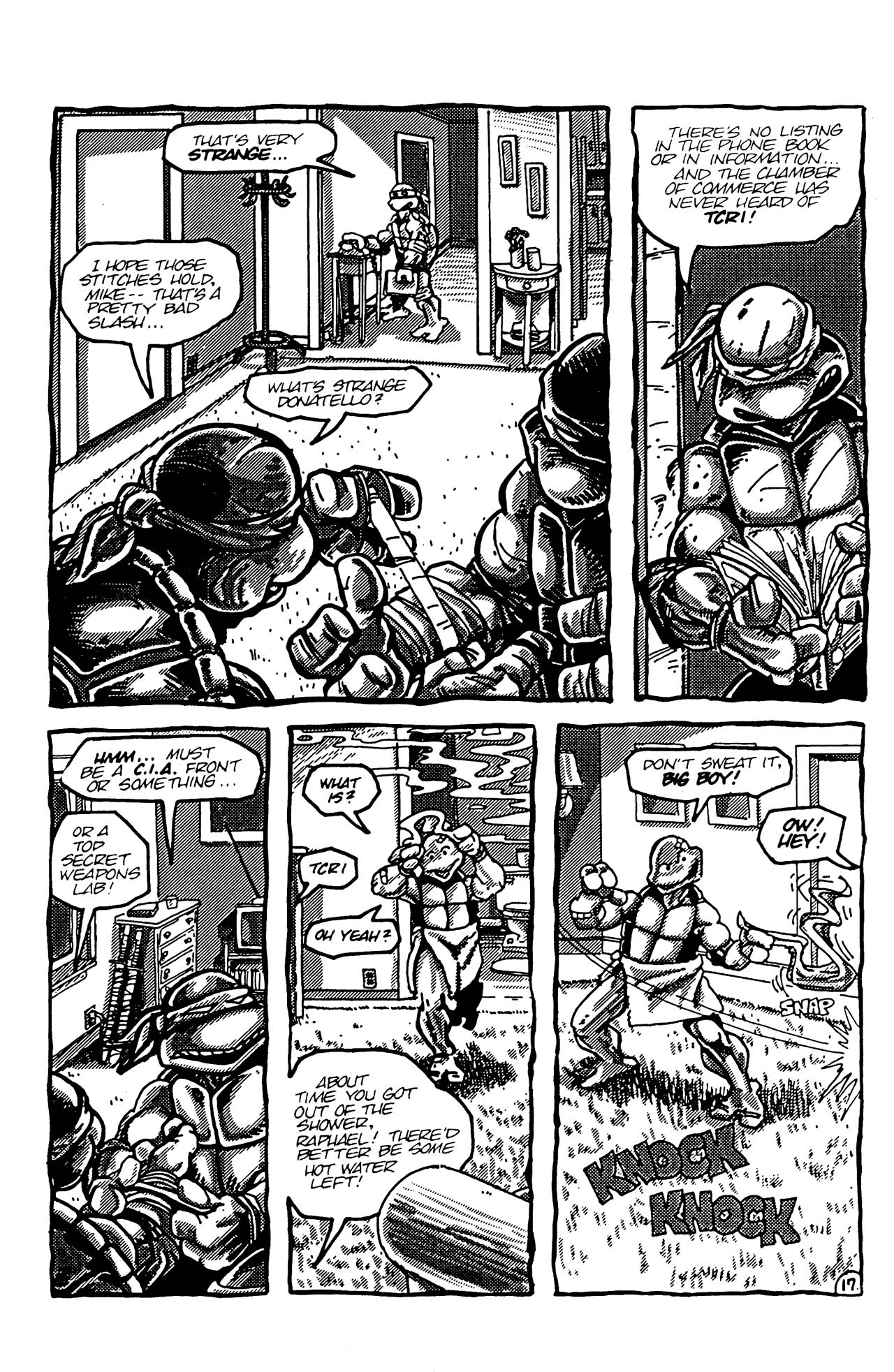 Read online Teenage Mutant Ninja Turtles (1984) comic - Issue #4