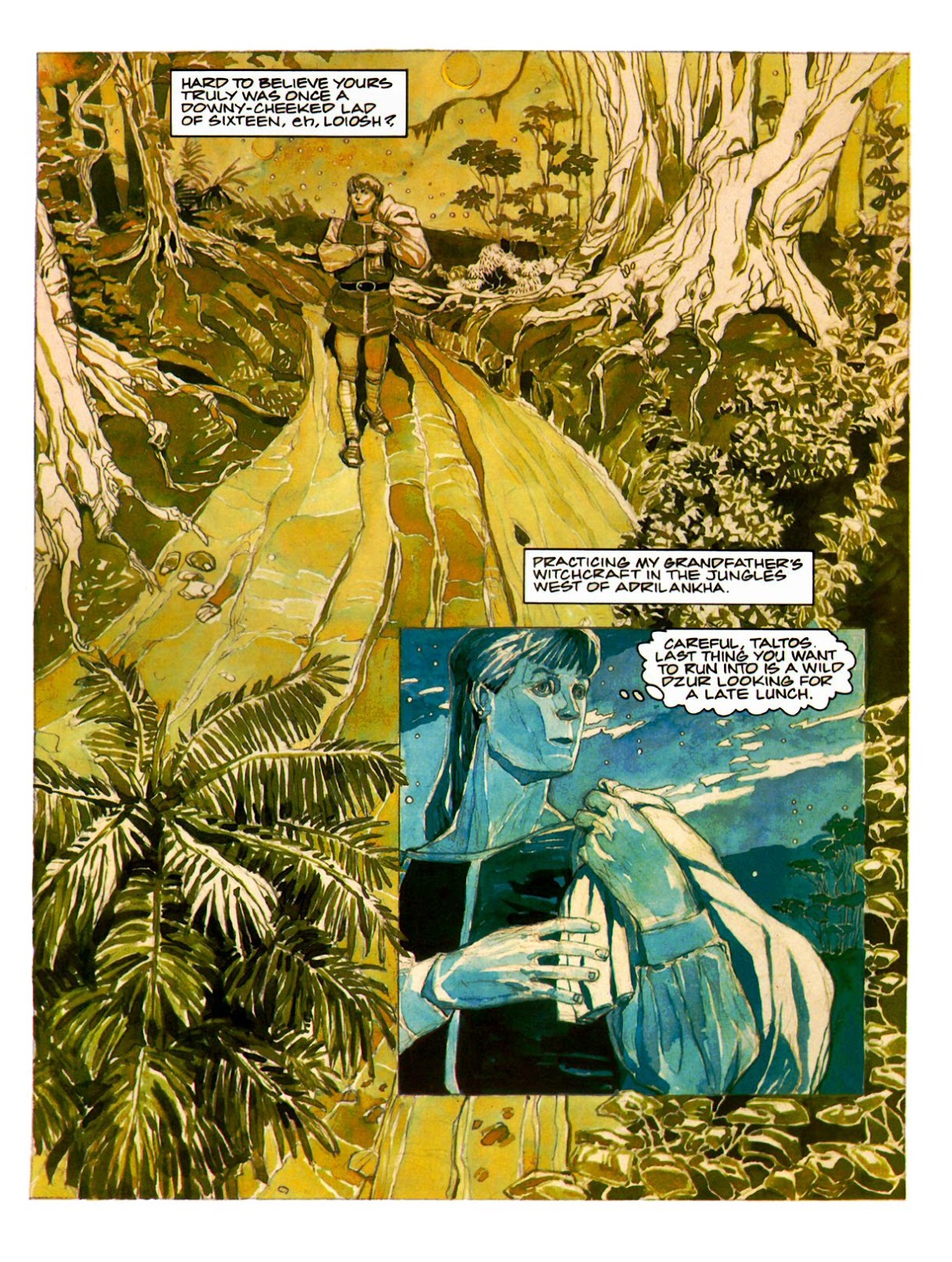 Read online Jhereg: The Graphic Novel comic - Issue # Full