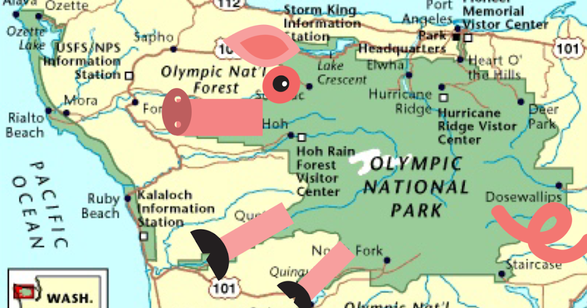 Olympic National Forest vs Olympic National Park (Info and Details)