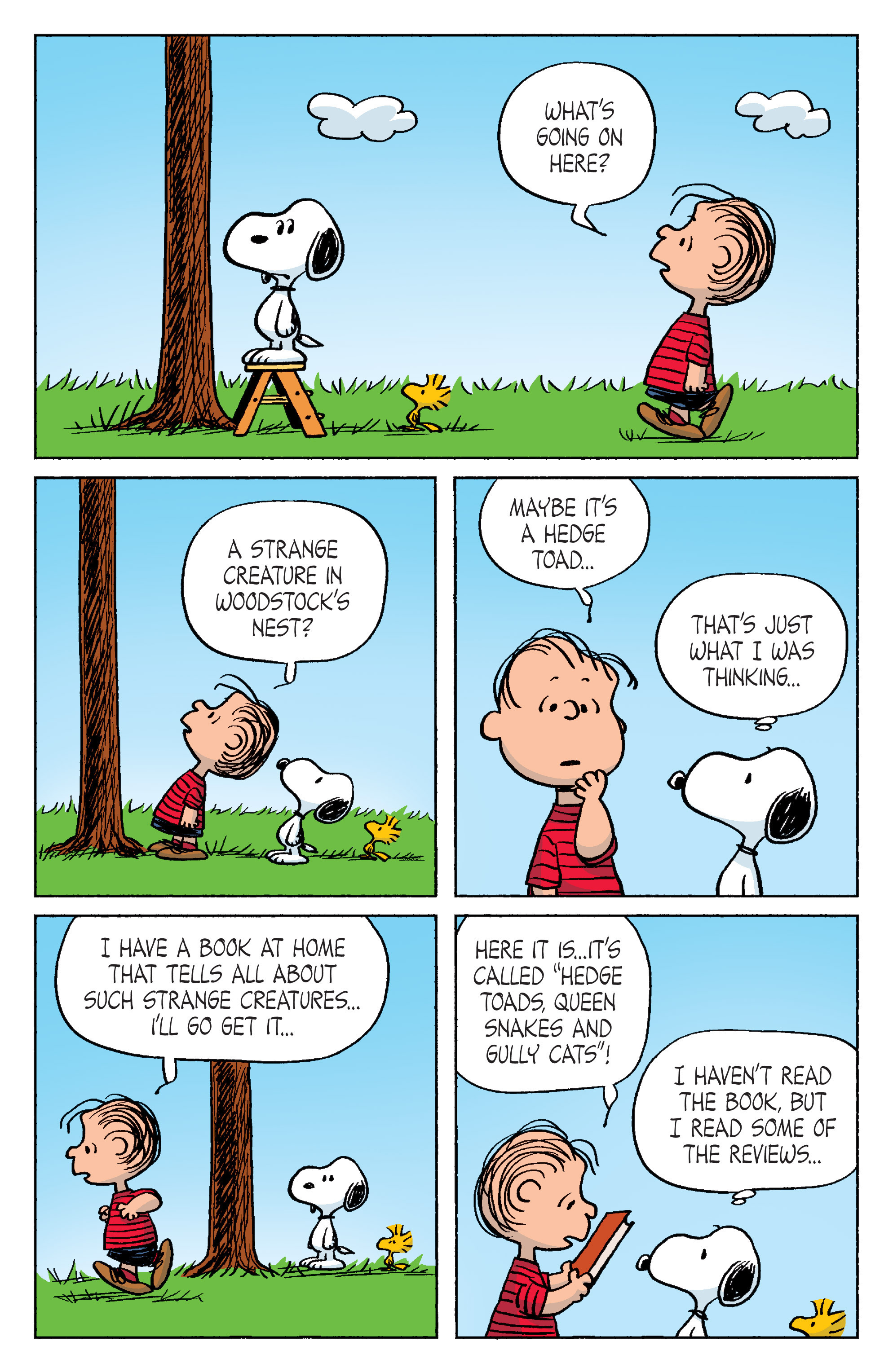 Read online Peanuts: The Snoopy Special comic - Issue # Full